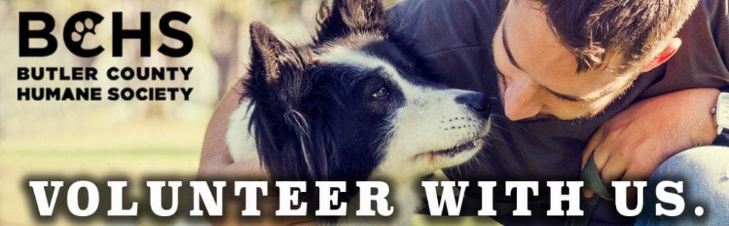 Butler County Humane Society Billboard Design - Woodchuck Arts Creative ...