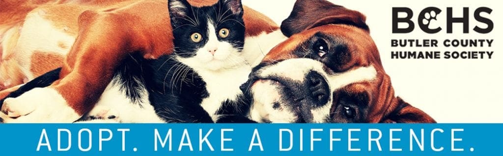 Butler County Humane Society Billboard Design - Woodchuck Arts Creative ...